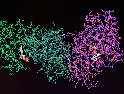 Membrane protein crystallography – is it still a fine art? - SPT Labtech