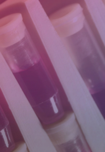 comPOUND自动化自动化存储管理|comPOUND自动存储管理 - SPT Labtech